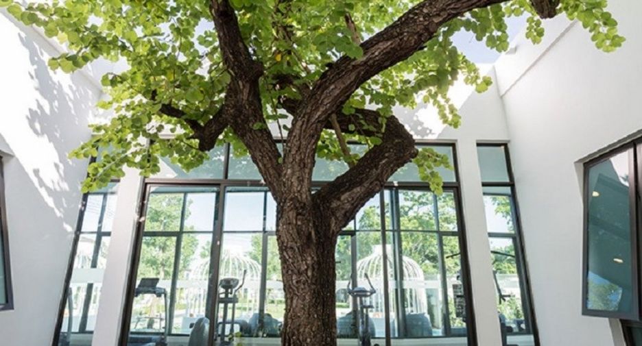 VENUE RAMA 5 - Condo in Mueang Nonthaburi | Hipflat