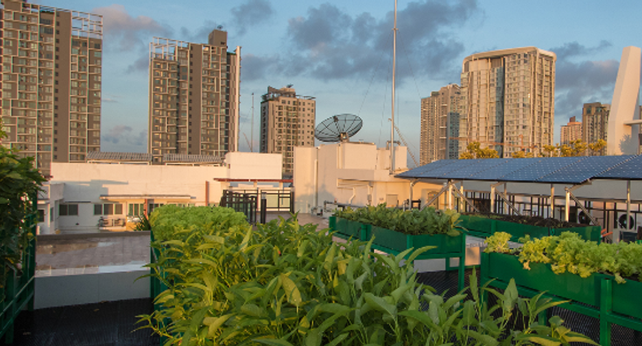 TT Building (ทีที บิลด์ดิ้ง) - คอนโดมิเนียม ใน พระโขนง | Hipflat